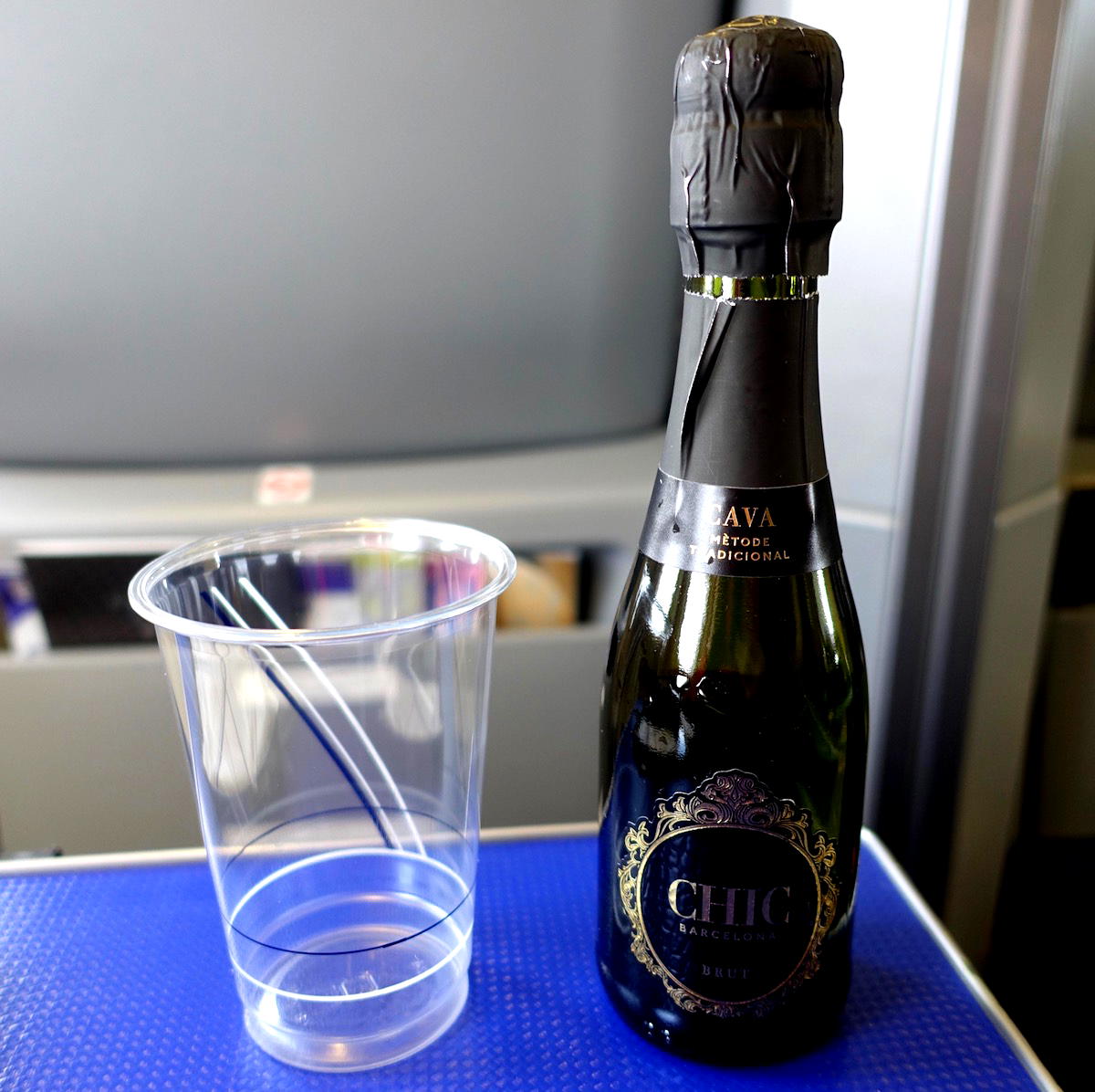 ANA's Unique Domestic 737 Premium Class - One Mile at a Time