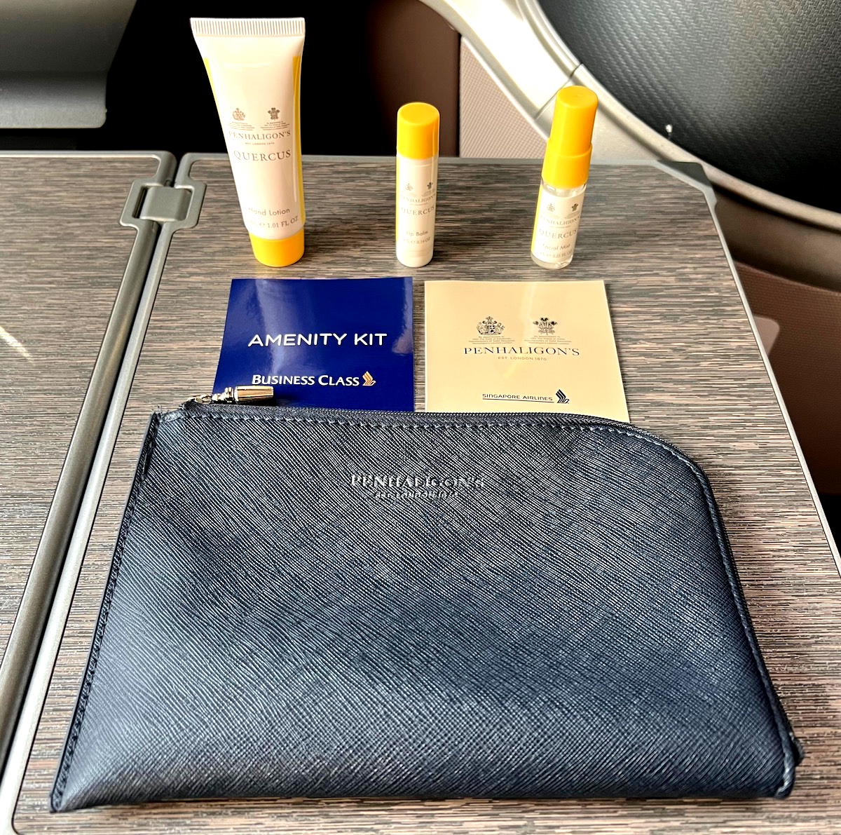 Review: Singapore Airlines Business Class 787 (SIN-SGN) - One Mile at a ...