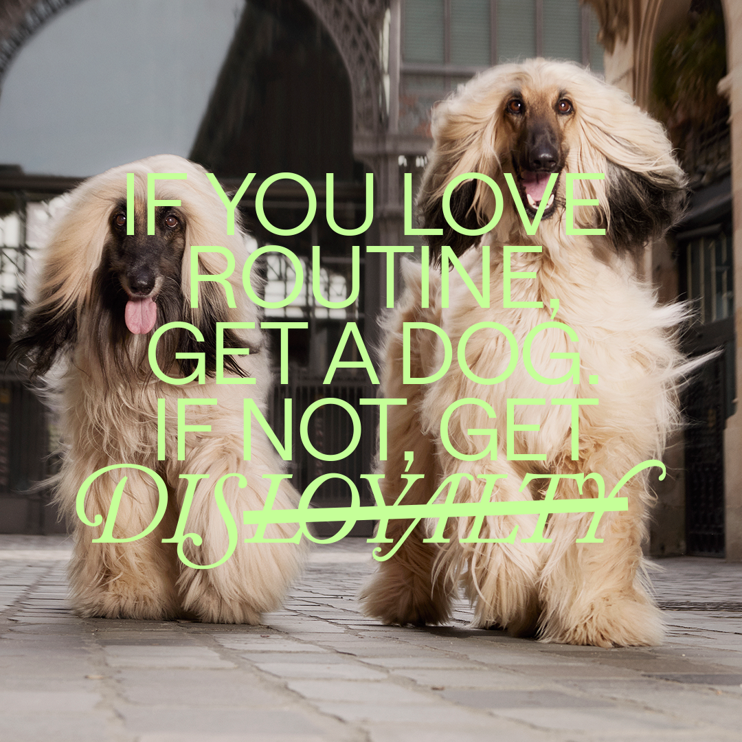 Accor’s Ennismore Launches Dis-Loyalty Membership - One Mile at a Time