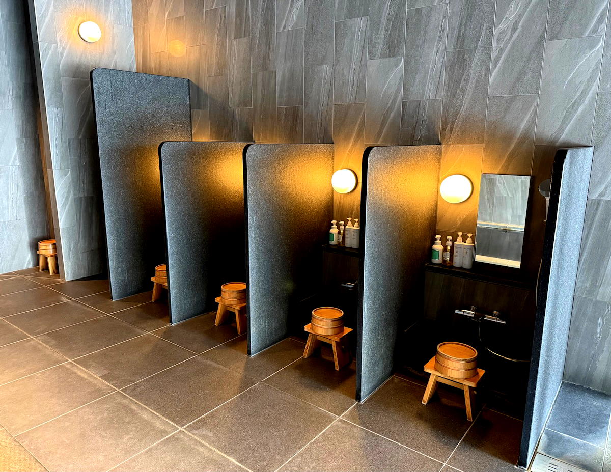 Review: Ritz-Carlton Reserve Niseko Higashiyama, Japan (Underwhelming ...