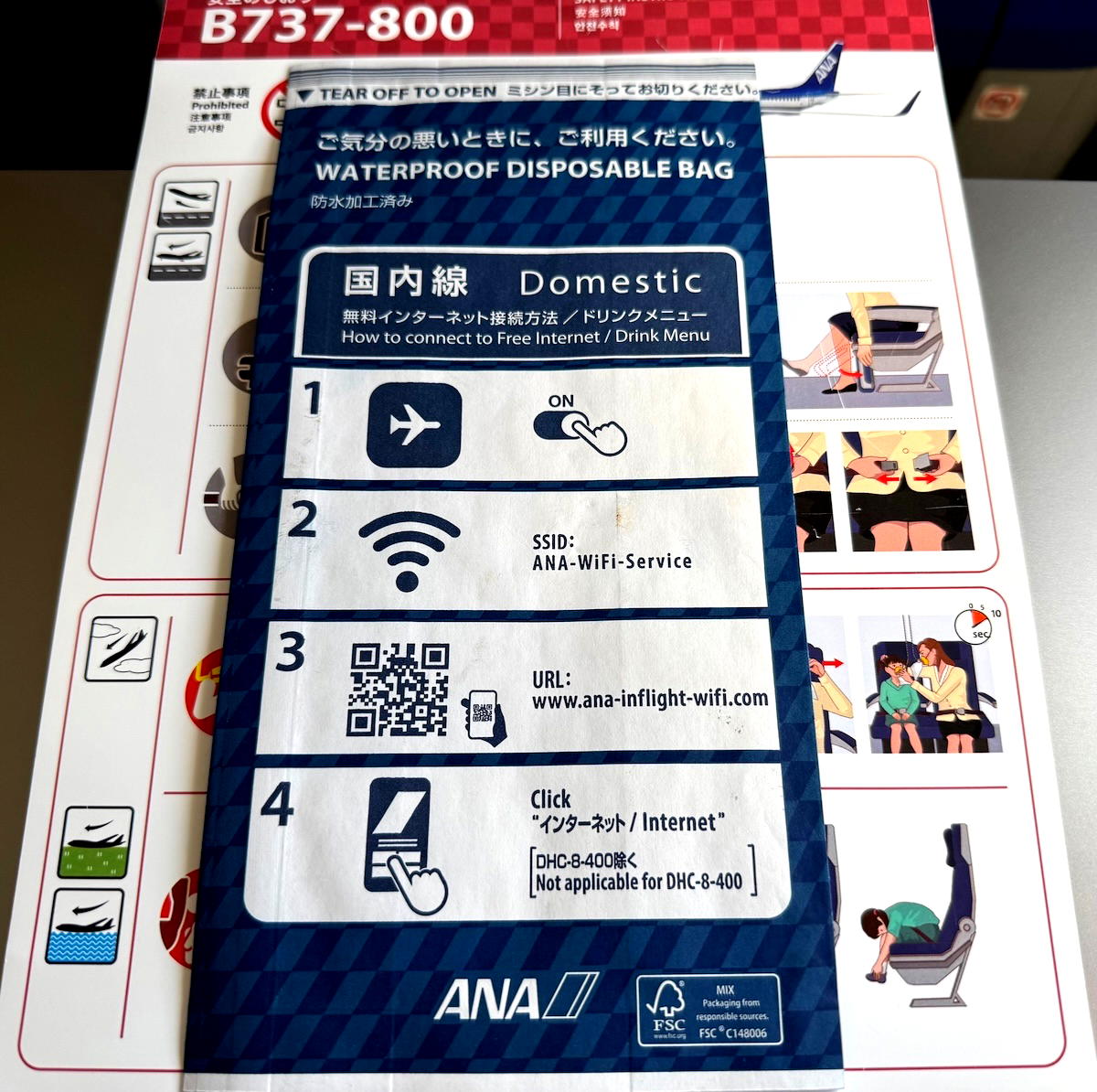 Review: ANA Premium Class Boeing 737 (CTS-NRT) - One Mile at a Time